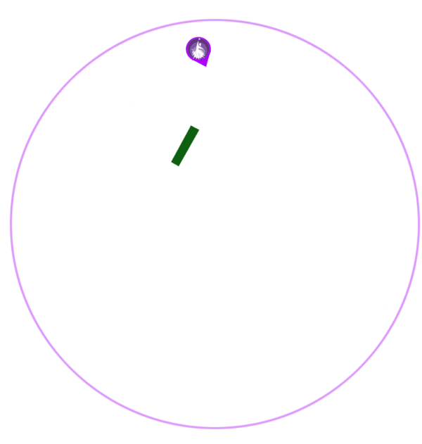 DWDC About Us - Dominican Women's Development Center